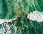 The ocean is turning green. Yes, it's climate change. | Grist