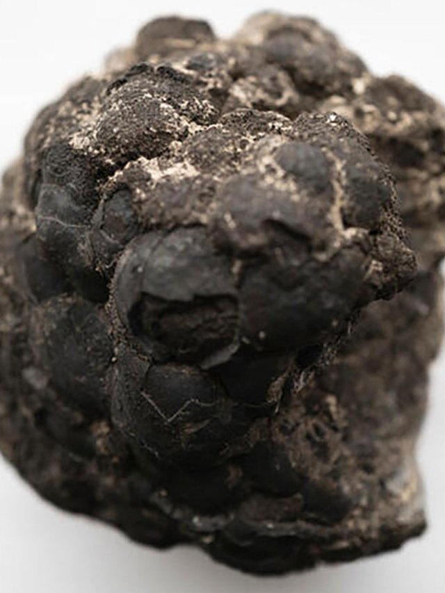 International negotiators just missed a deadline to regulate deep-sea ...