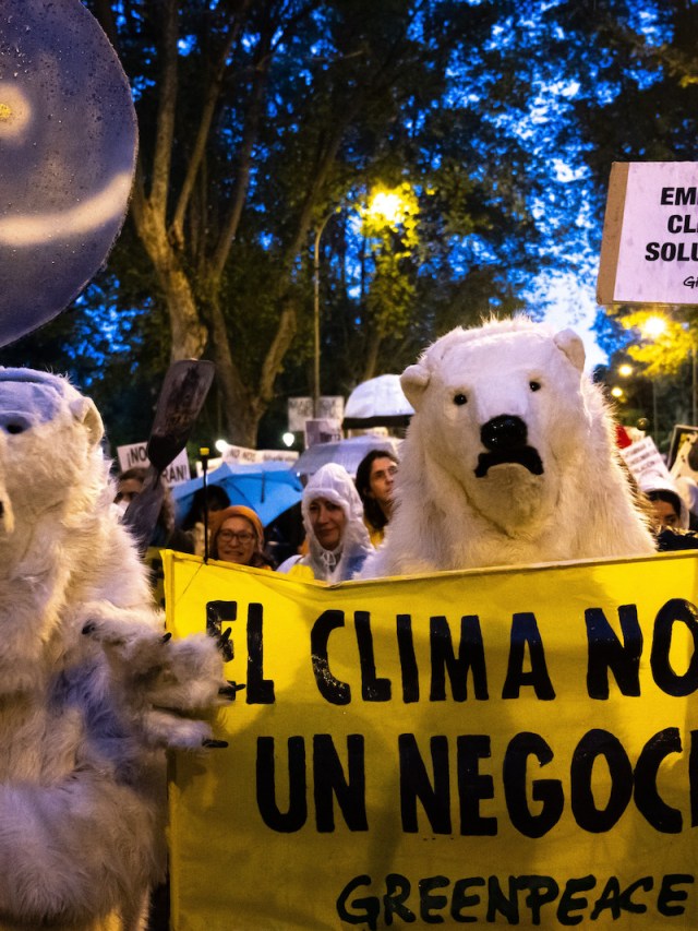 Why the climate movement doesn’t talk about polar bears anymore | Grist