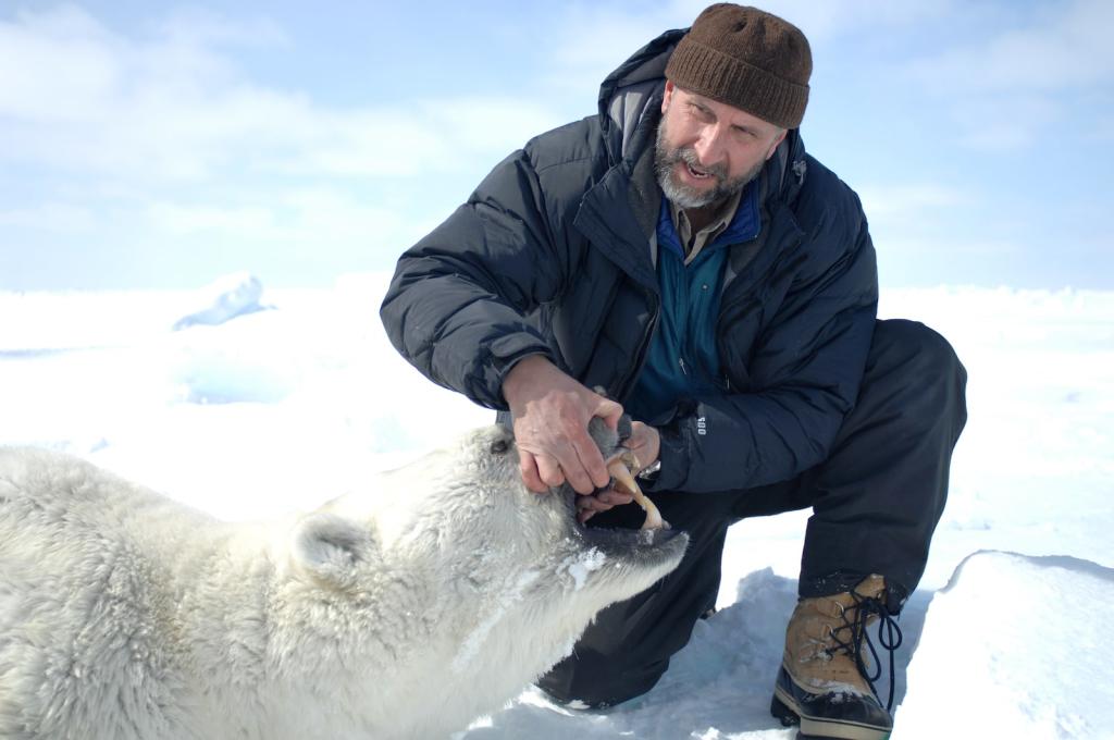 Why the climate movement doesn’t talk about polar bears anymore | Grist