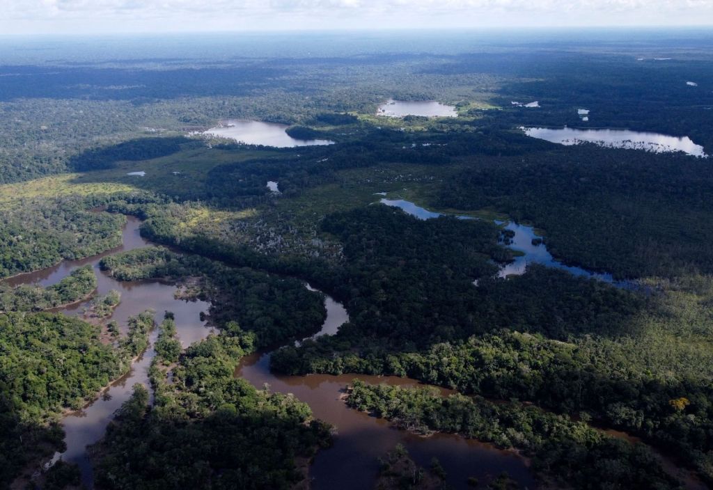 This little-known federal regulator could crack down on fraudulent ...