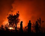July has been the hottest month in humanity’s history | Grist