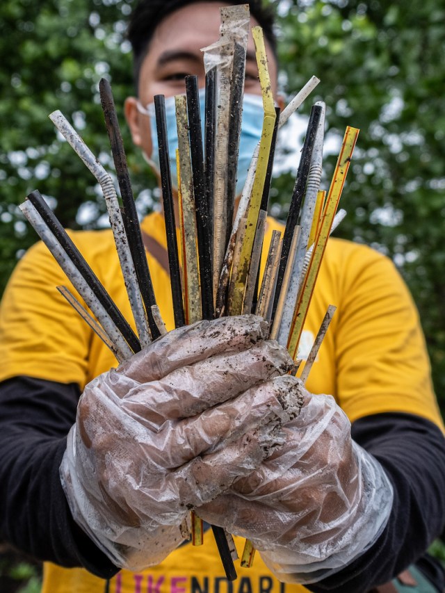 Did plastic straw bans work? Yes, but not in the way you’d think. | Grist