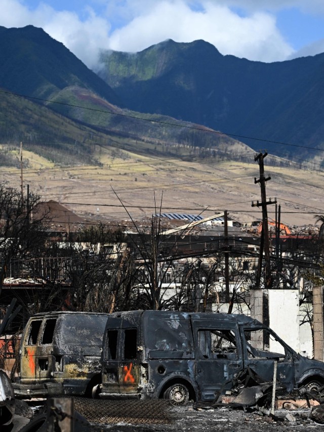 Utilities are getting sued over wildfires. Who's bearing the cost? | Grist