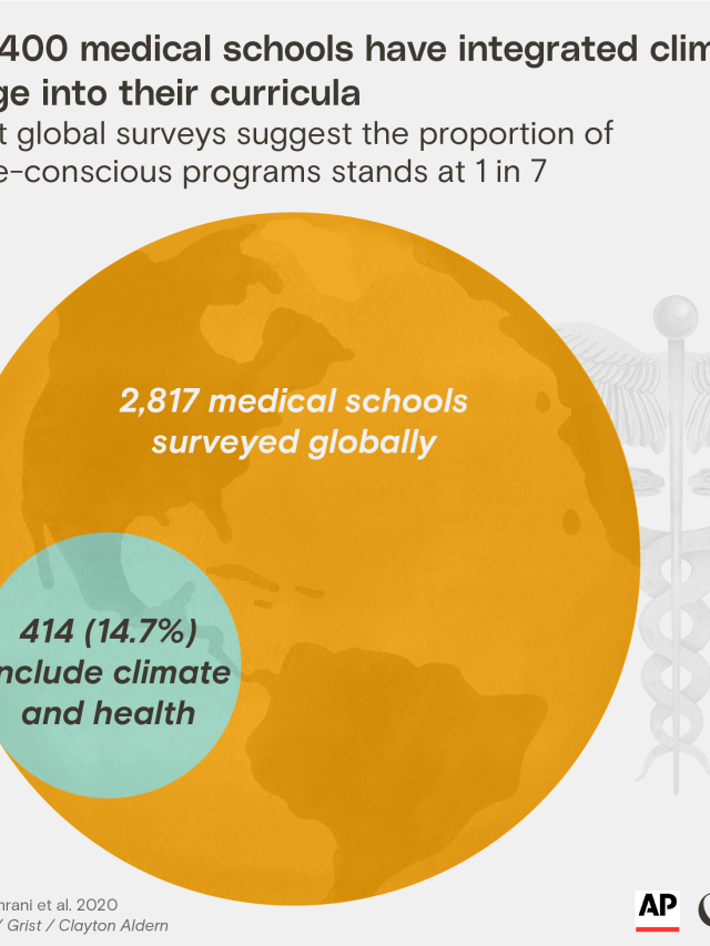 The Rise Of The Climate Doctor Grist