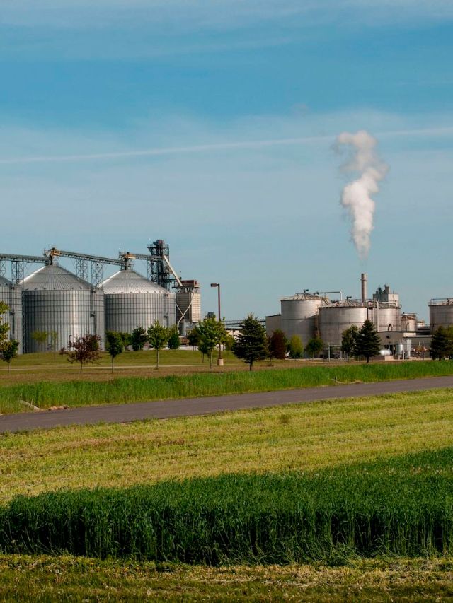 As the UN designs a new carbon market, experts call for a different ...