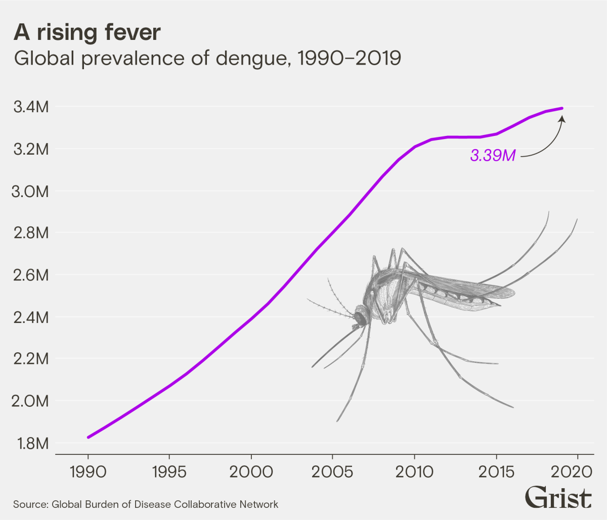 Dengue fever cases surge as temperatures rise | Grist
