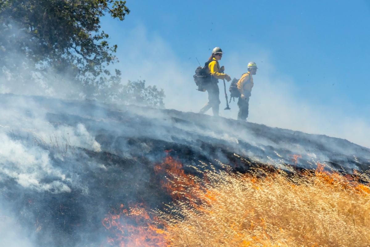 Prescribed burns could help prevent wildfires in the West | Grist