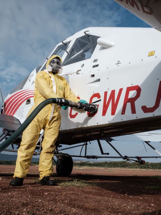 How UN-procured pesticides took a toxic toll on Kenyan farmers | Grist