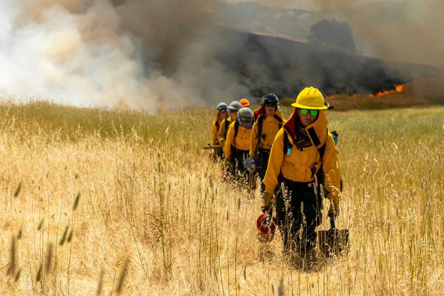 Prescribed burns could help prevent wildfires in the West | Grist