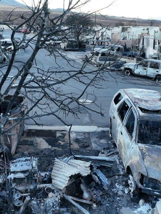 The summer that reality caught up to climate fiction | Grist