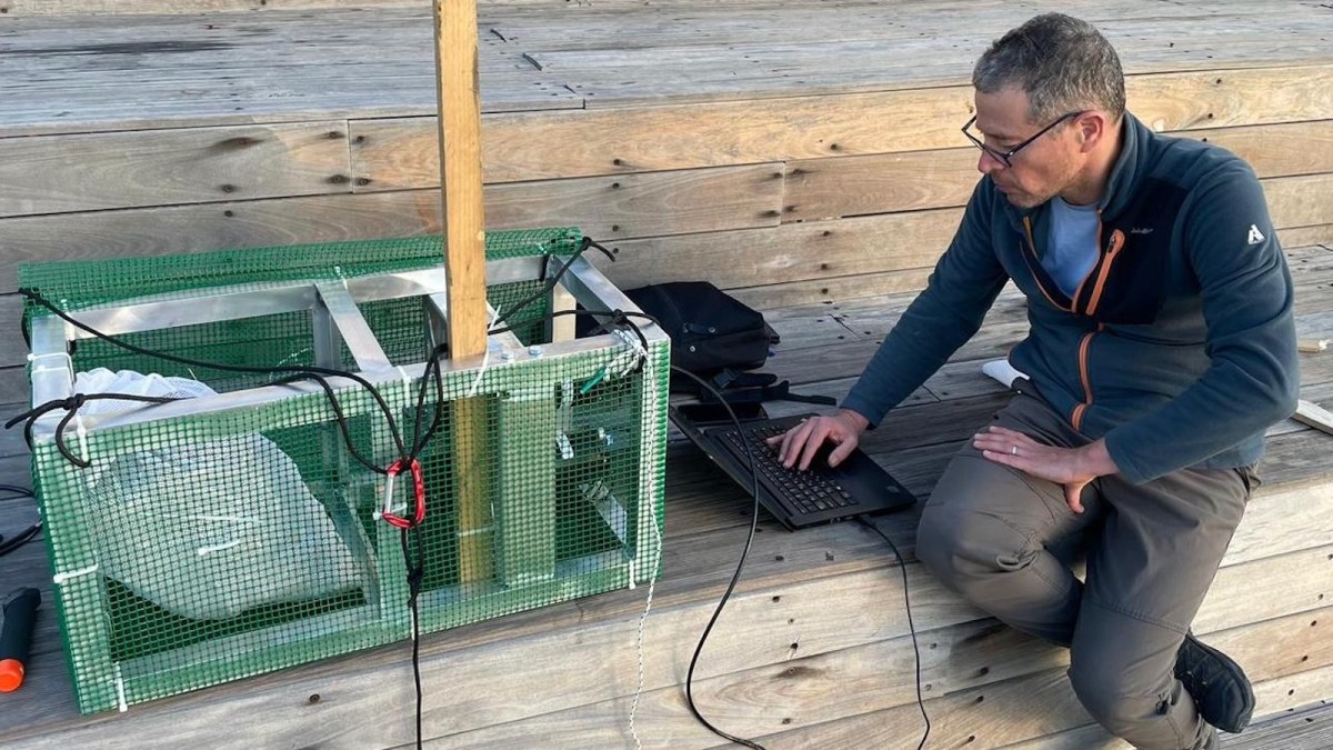 A look inside the plan to store carbon at the bottom of the Black Sea ...