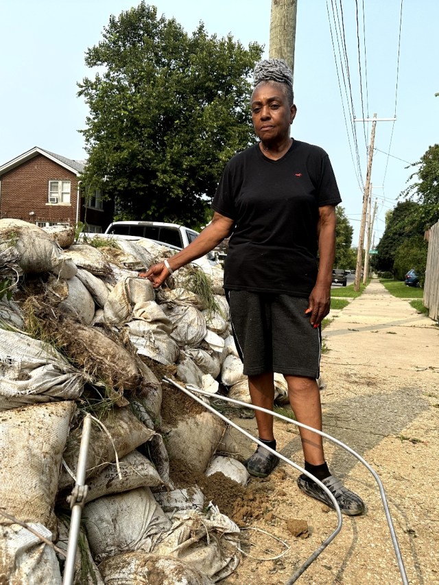 Detroit has a flood problem. It's got an even bigger mold problem. | Grist