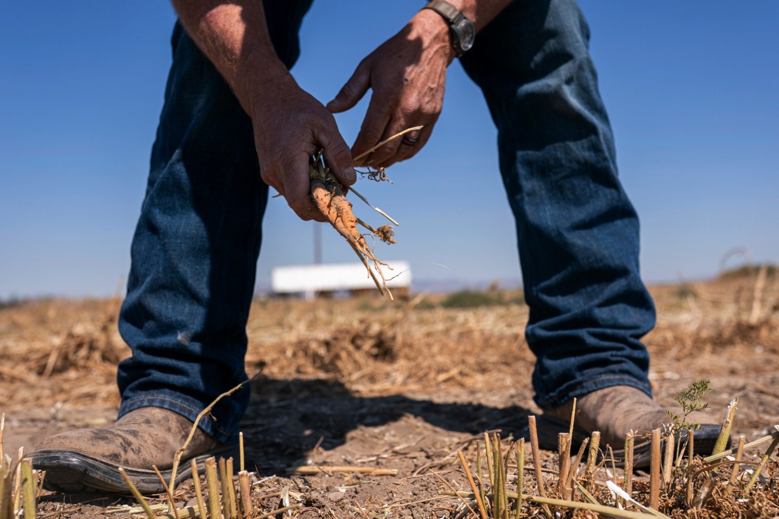 'Nothing’s predictable': Extreme weather is ruining farmers' crops, and ...