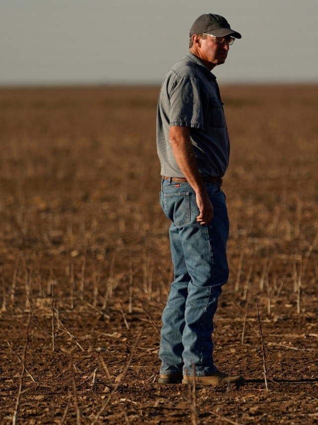 'Nothing’s predictable': Extreme weather is ruining farmers' crops, and ...