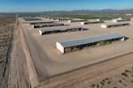 Arizona is evicting a Saudi alfalfa farm, but the thirsty crop isn’t ...