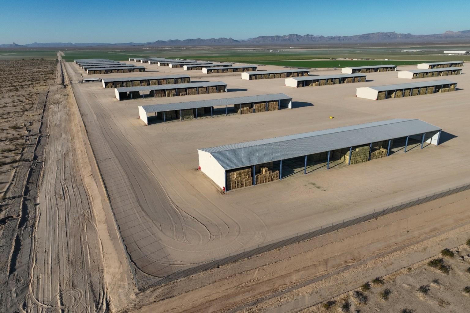 Arizona is evicting a Saudi alfalfa farm, but the thirsty crop isn’t ...