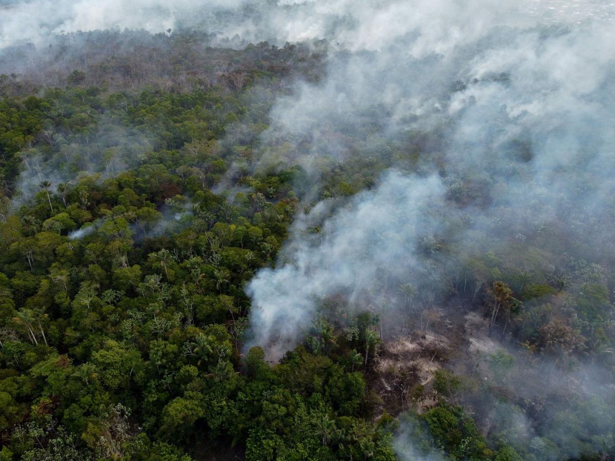 Record-breaking wildfires blanket Brazil with smoke | Grist