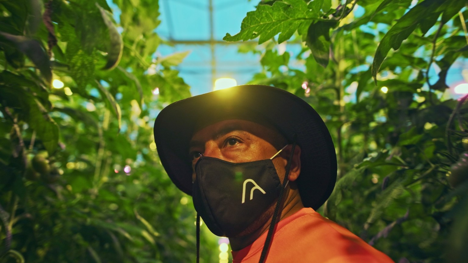 AppHarvest promised Kentucky green jobs. It delivered 'hell on earth ...