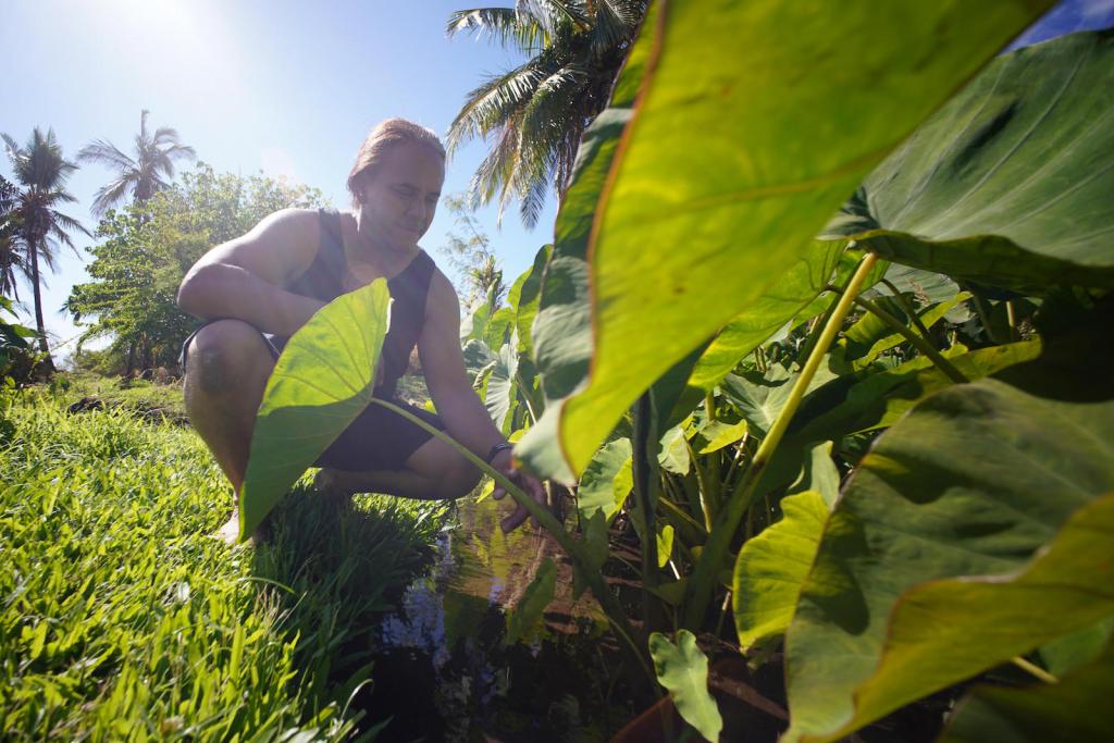 The libertarian developer looming over West Maui’s water conflict | Grist