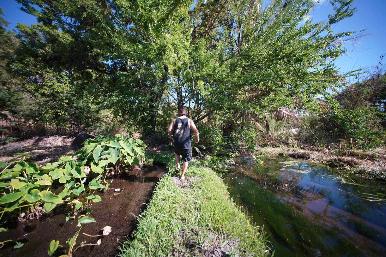 The libertarian developer looming over West Maui’s water conflict | Grist