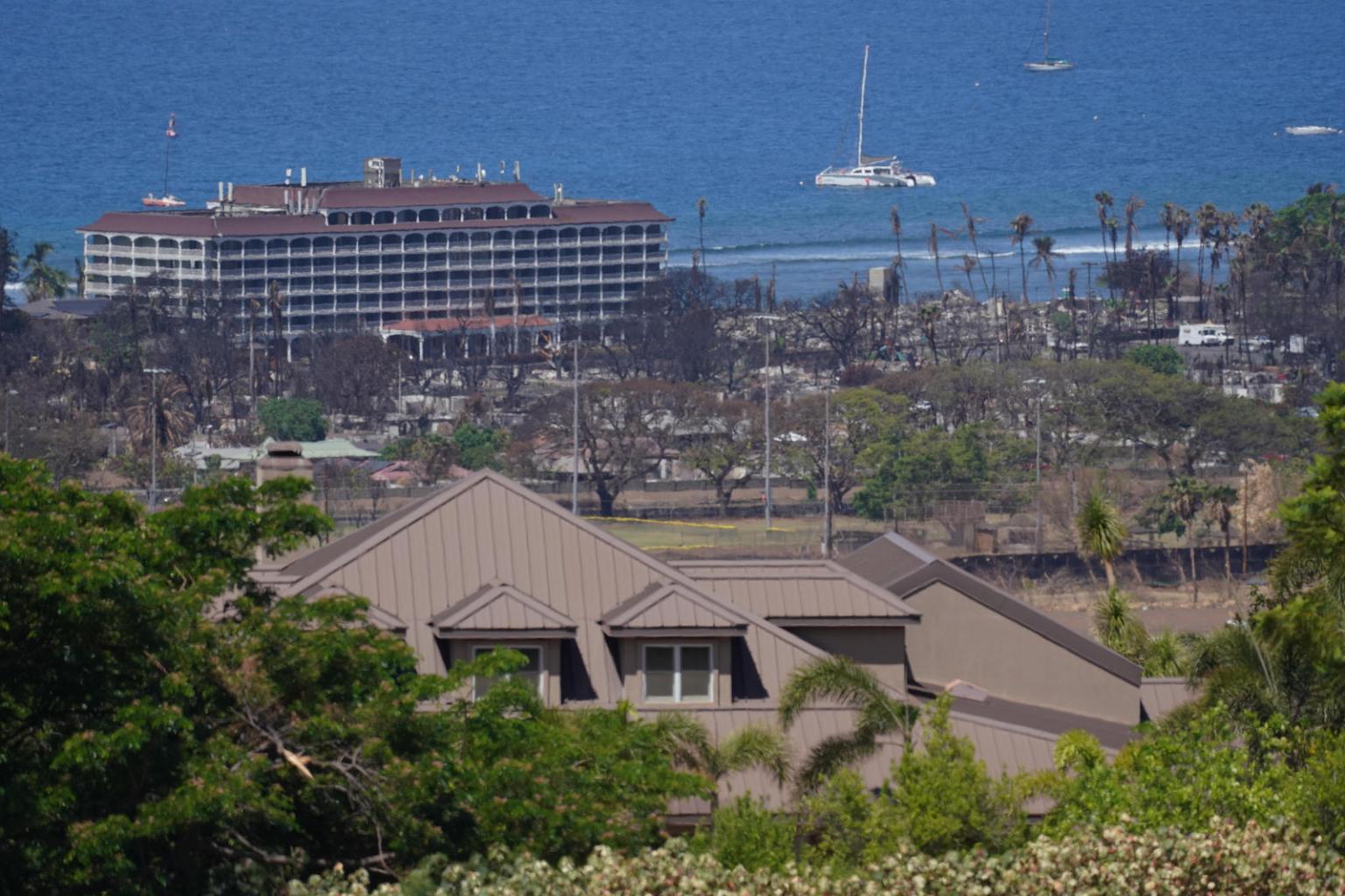 The libertarian developer looming over west mauis water conflict | The ...