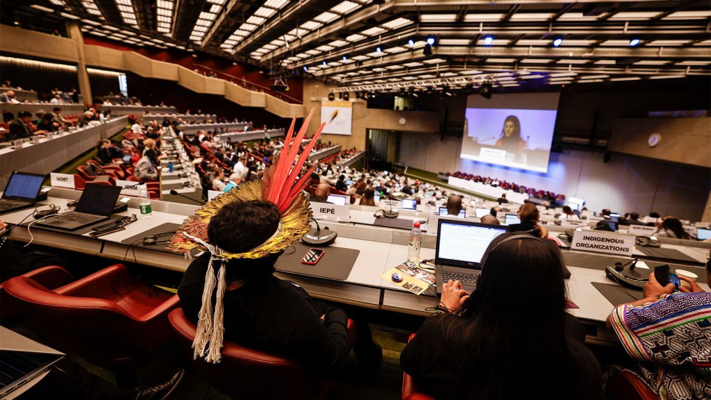 Global Indigenous Affairs Desk - Grist | Grist