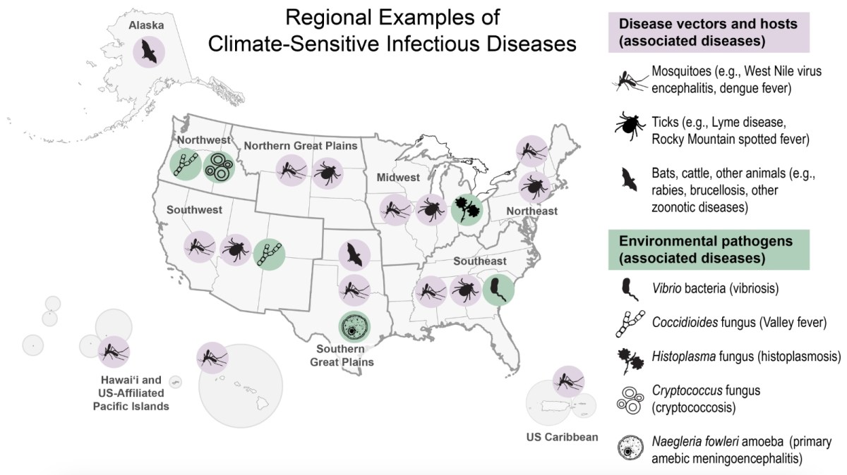 The 'climate-sensitive' diseases that are spreading through a warmer US ...