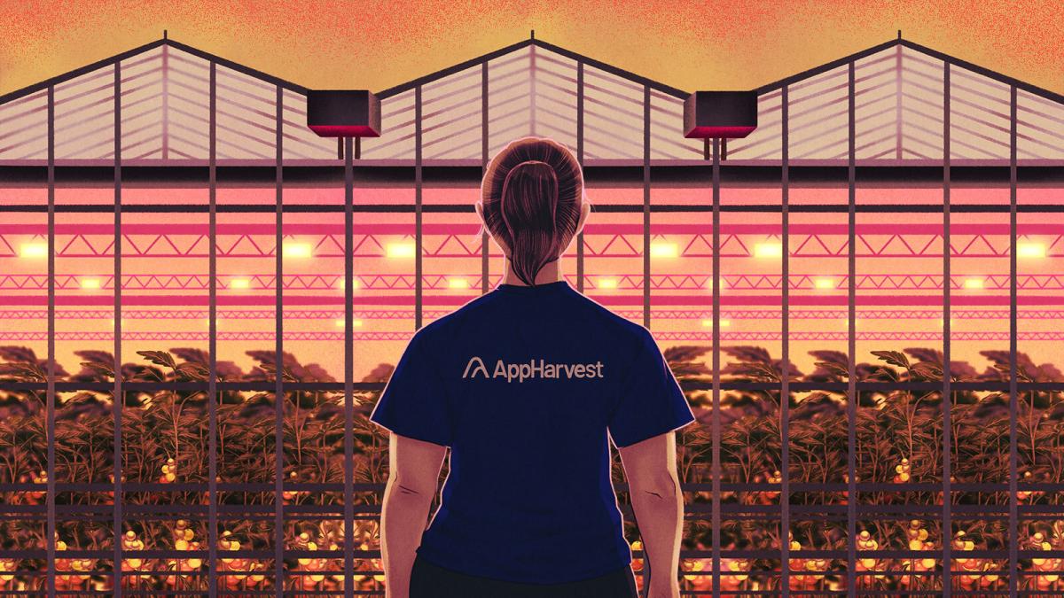 AppHarvest promised Kentucky green jobs. It delivered 'hell on earth ...