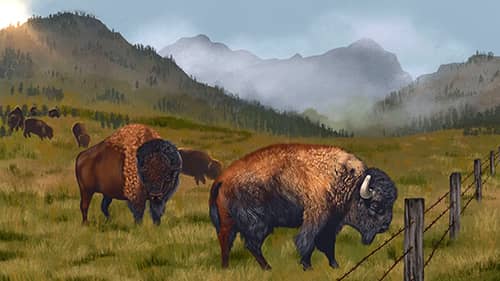 Every region of the country is taking climate action. Here's how. | Grist