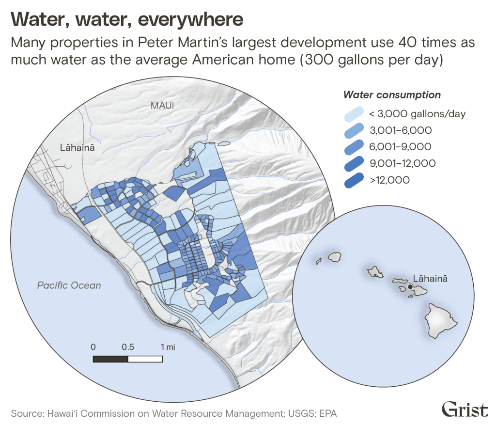 The libertarian developer looming over West Maui’s water conflict | Grist