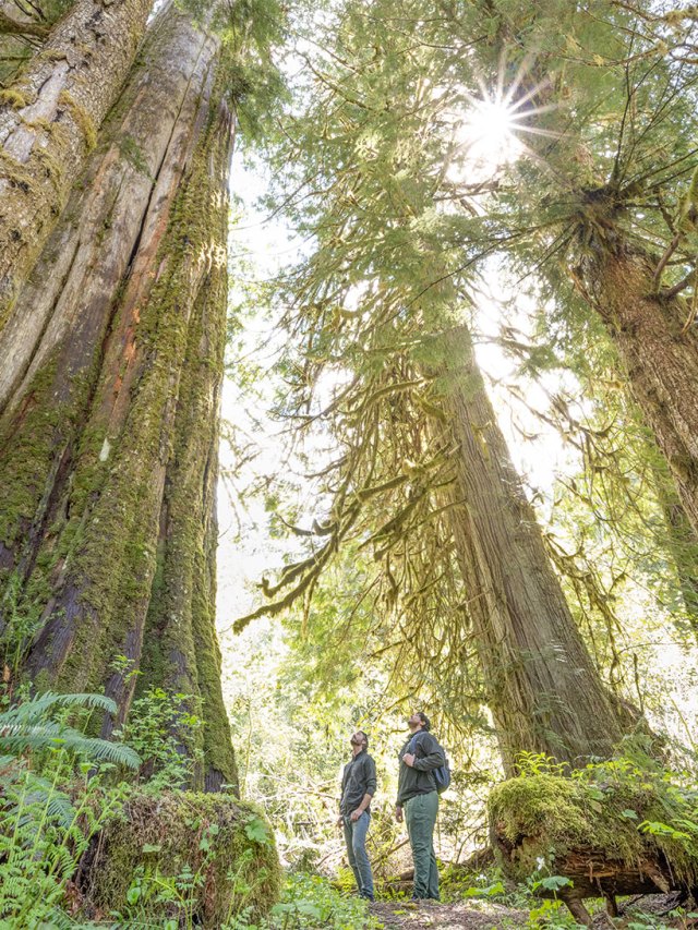 A more collaborative approach to conservation | Grist