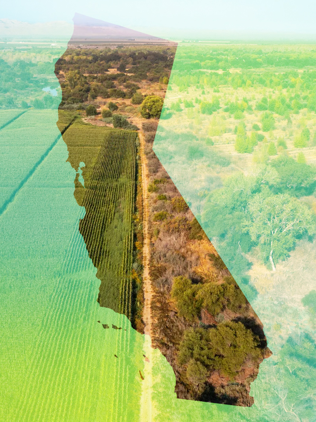 Can flooding its best farmland fix California’s water woes? - Grist