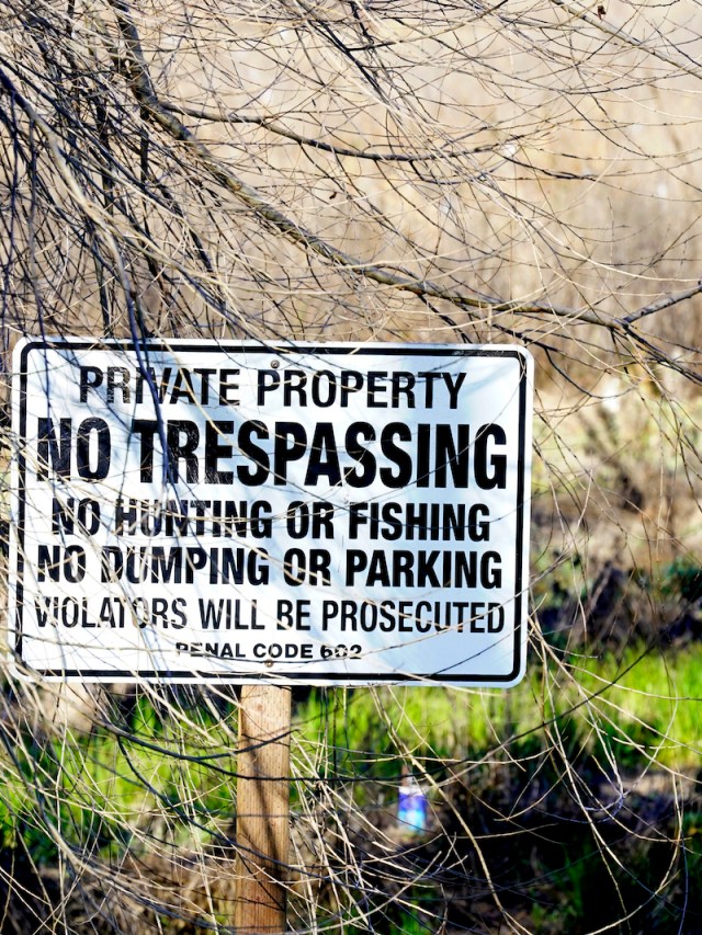 How California can solve its water woes by flooding its farmland | Grist