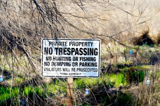 How California can solve its water woes by flooding its farmland | Grist