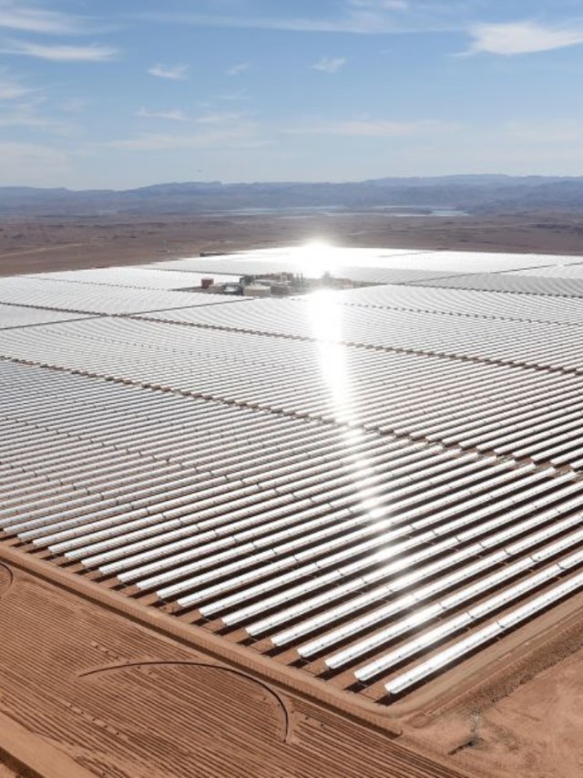 What abandoning fossil fuels could look like in the Arab world | Grist