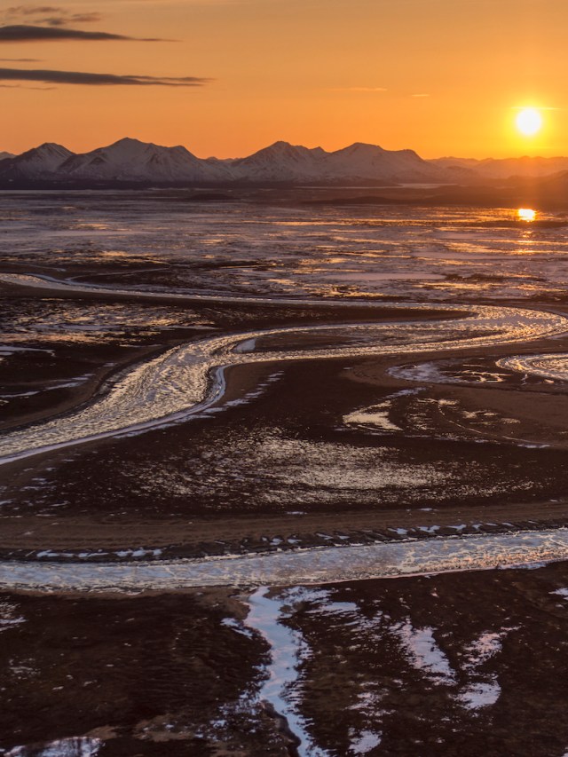 In an era of climate change, Alaska’s predators fall prey to politics ...