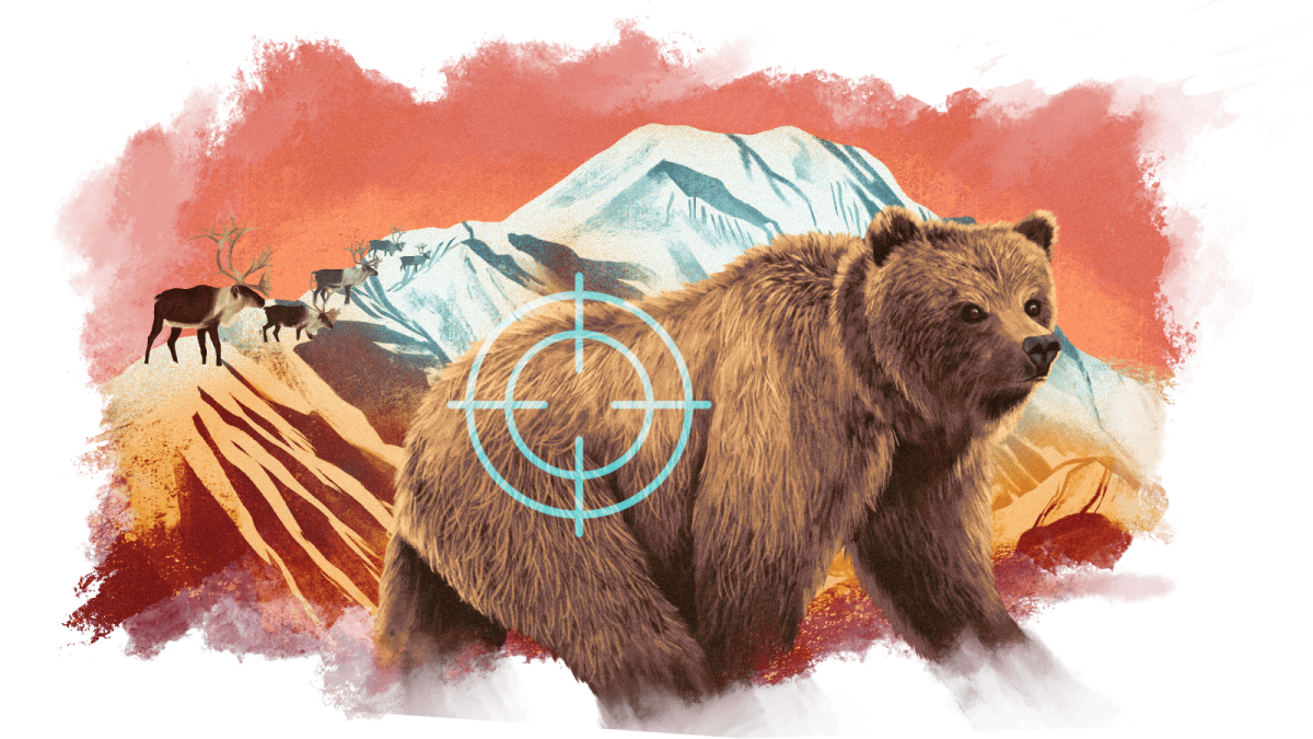 In an era of climate change, Alaska’s predators fall prey to politics ...