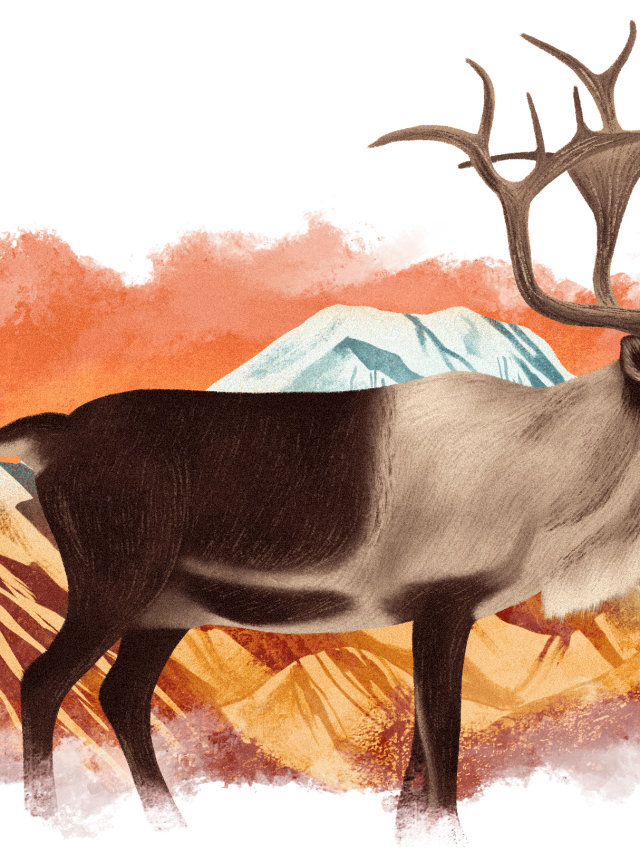 In an era of climate change, Alaska’s predators fall prey to politics ...