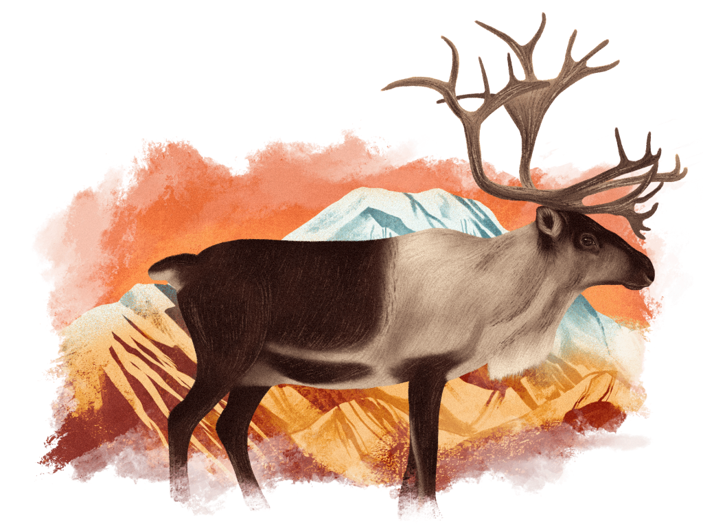 In an era of climate change, Alaska’s predators fall prey to politics ...