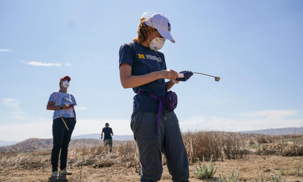 Intensifying atmospheric rivers are leading to a surge in Valley fever ...