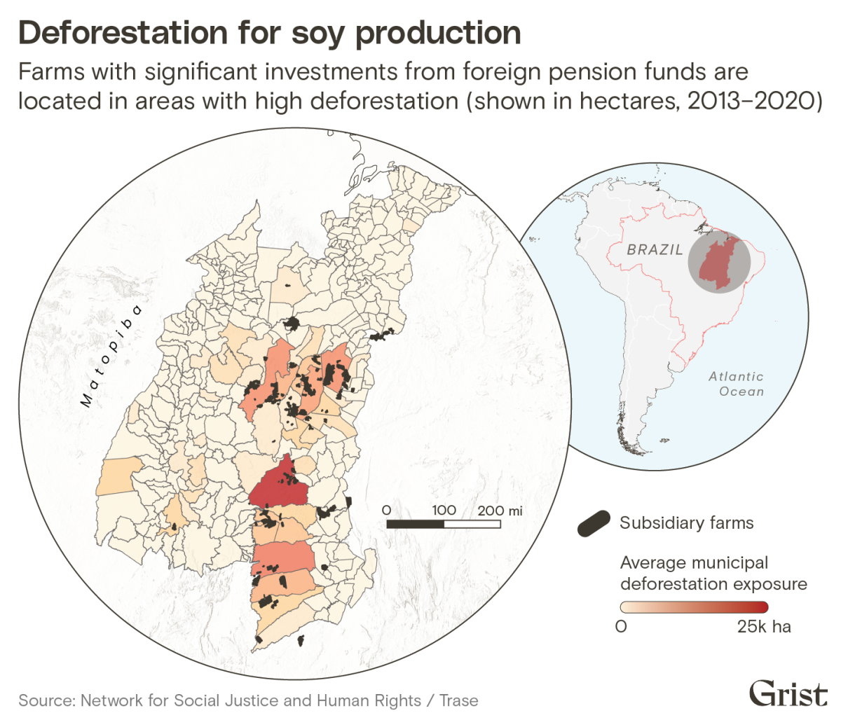 Seeds of A Revolution » Who’s Behind the Destruction of Brazil’s Cerrado?