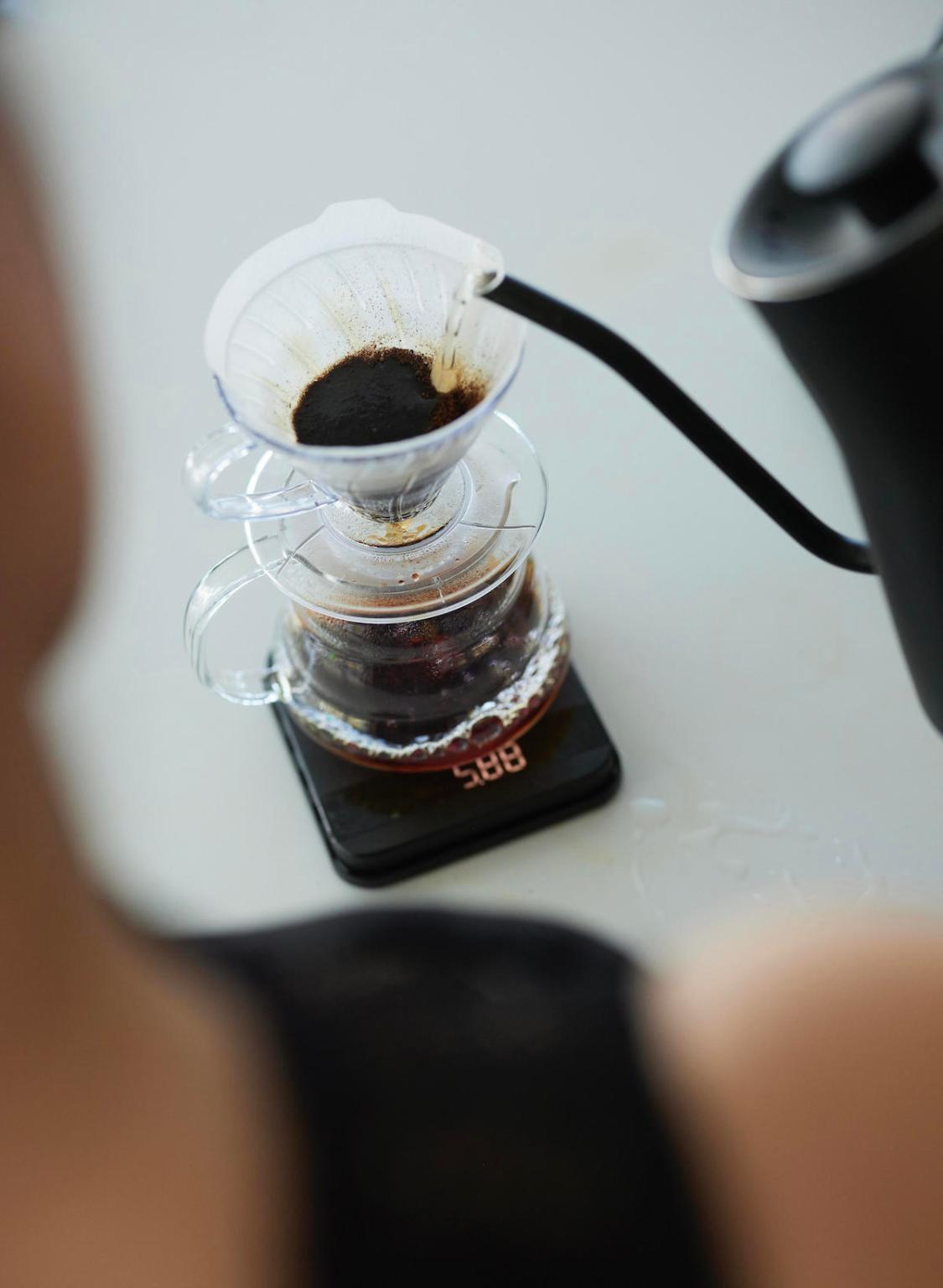 The best coffee for the planet might not be coffee at all | Grist