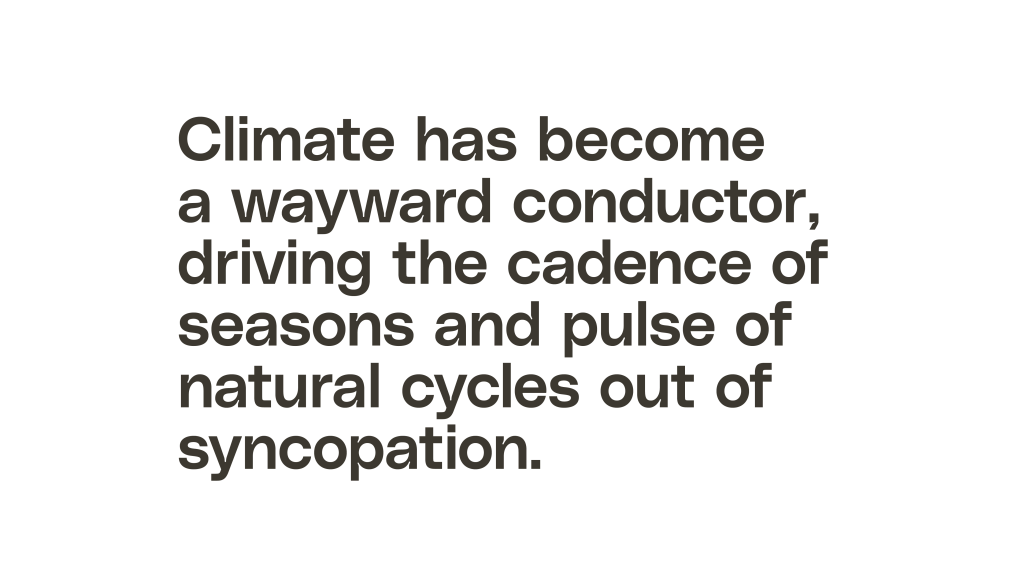 How far should we go in saving species from extinction? | Grist