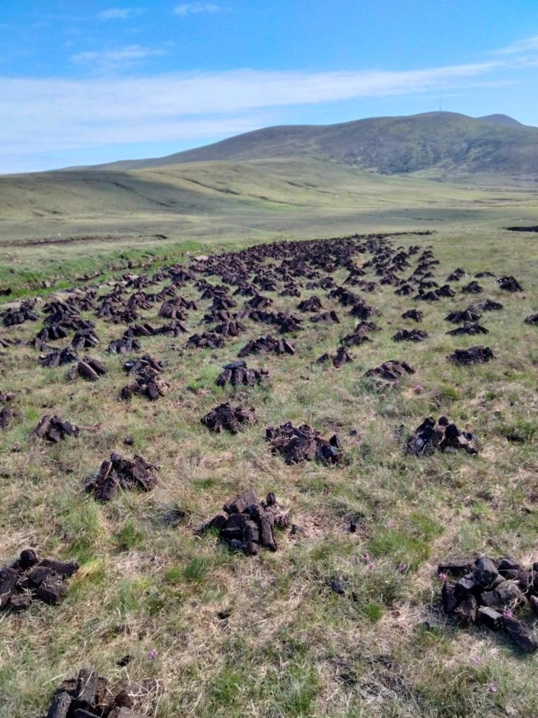 Farmers and EU face off over bogs, Ireland’s largest carbon store | Grist