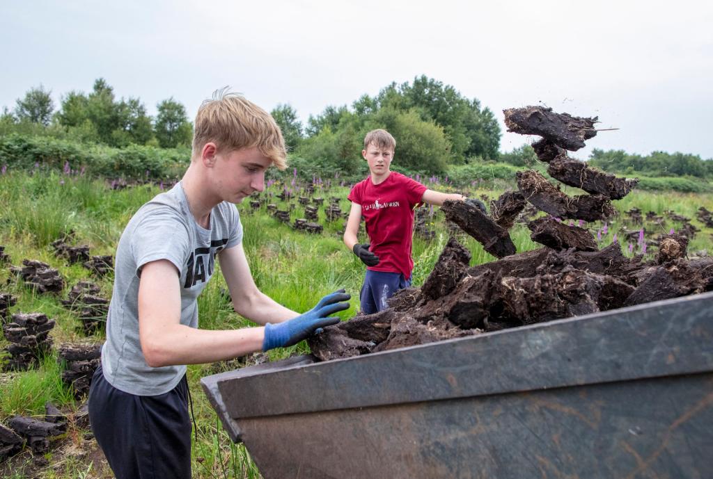 Farmers and EU face off over bogs, Ireland’s largest carbon store | Grist