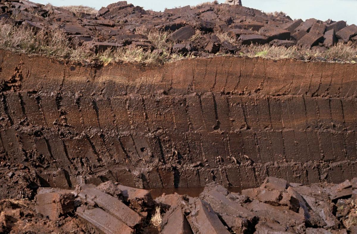 Farmers and EU face off over bogs, Ireland’s largest carbon store | Grist