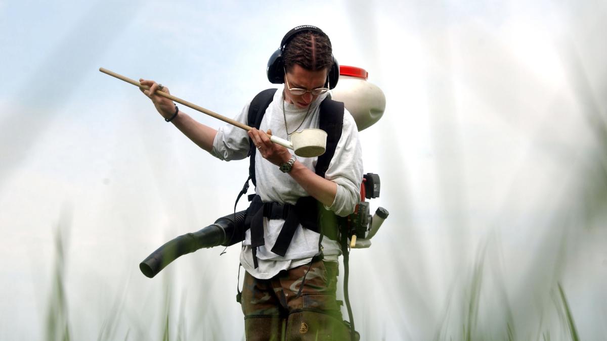 How climate change is expanding the reach of EEE, a rare and deadly ...