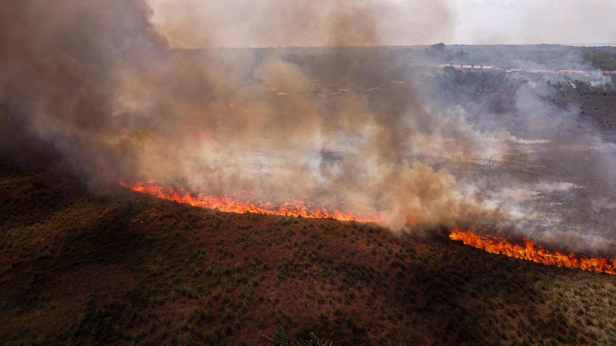 Climate change fueled last year's wildfires — some more than others | Grist