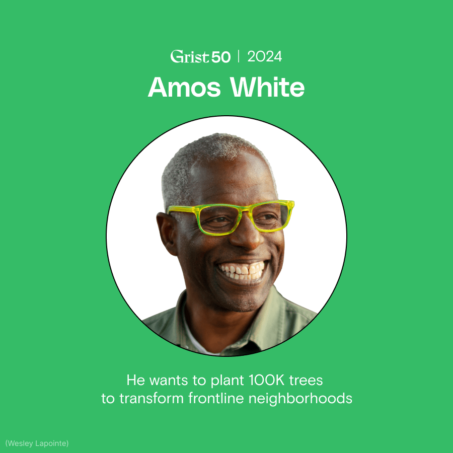 Celebrating climate solutions: Grist 50 2024 - Grist | Grist